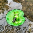 CEORPER Frogs Water Feature Decorative Resin Art For Garden Landscape ...