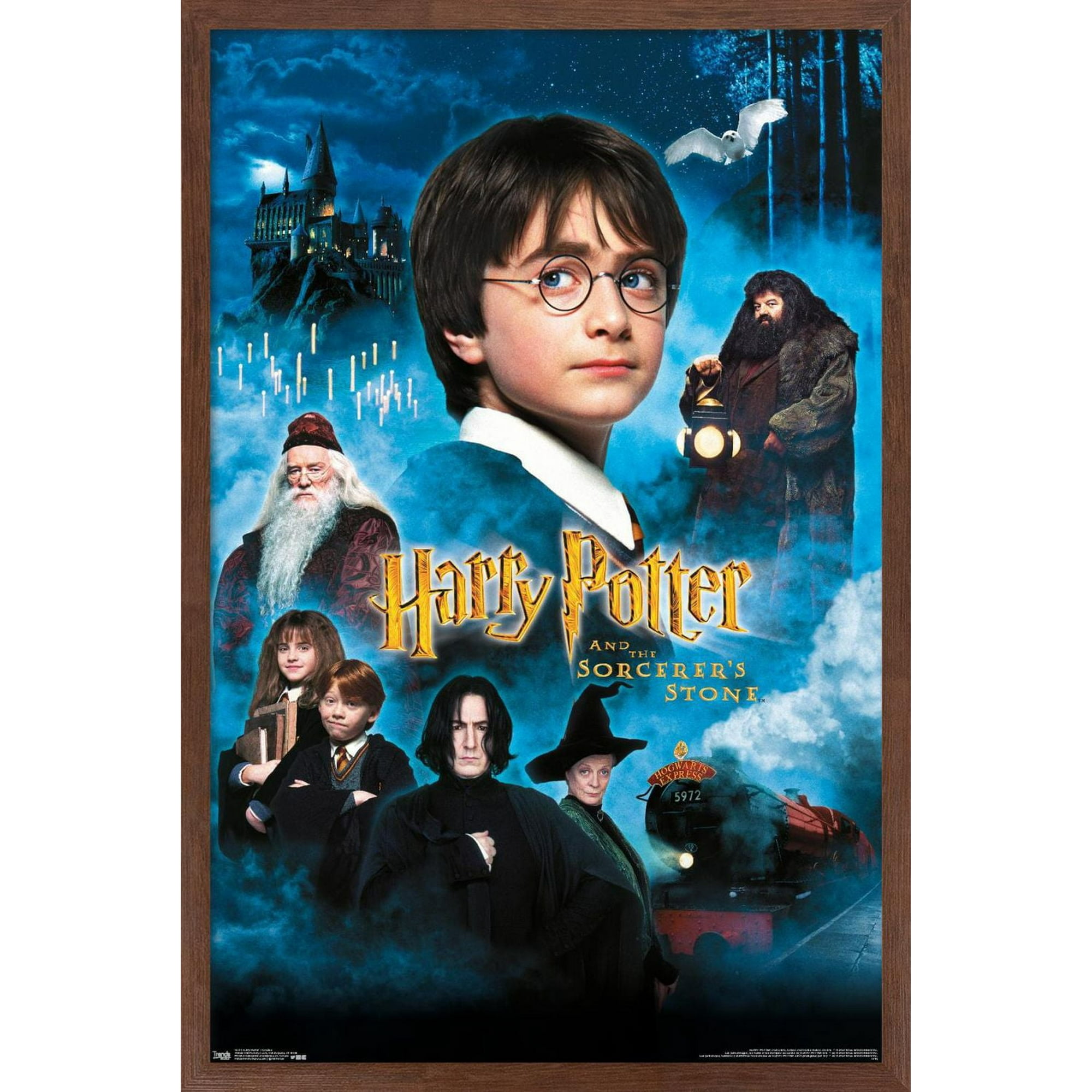 Click here for Trends International Harry Potter And The Sorcerer... prices