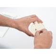 ProLab Mold Do It Yourself Test Kit for Detecting Mold Spores in Home ...