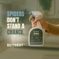 Spider Spray, Natural Spider Killer for Indoor and Outdoor | Plant ...