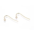 20 pc 304 Stainless Steel Earring Hooks with Horizontal Loop Real 18K ...
