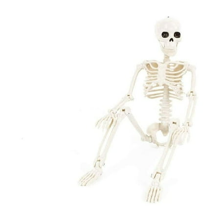 Halloween Skeleton Skeleton, Realistic Human Body Bones with Poseable ...