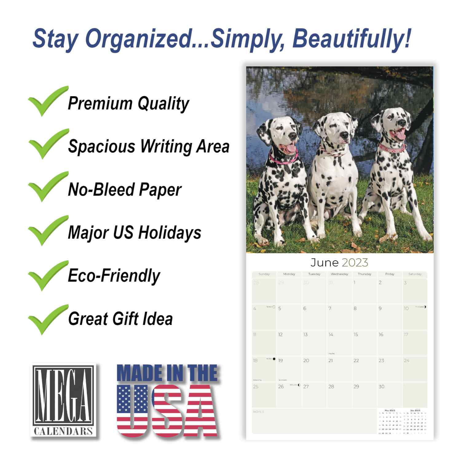 Dalmatian 2022 Dog Breed Premium Wall Calendar