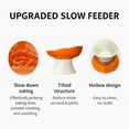 Ceramic Slow Feeder Bowl for Cats and Small Dogs, Elevated Tilted Pet ...