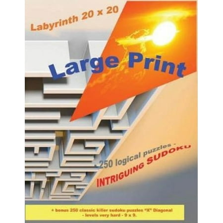 Labyrinth 20 X 20 - 250 Logical Puzzles - Intriguing Sudoku: Large ...