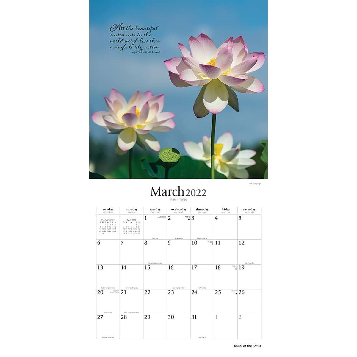 2021 – 2022 Flower Monthly Wall Calendar, 16 Month, Floral Jewel of the ...