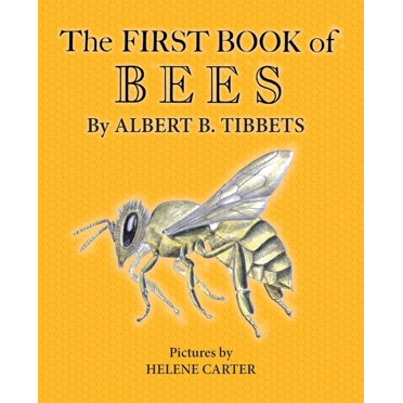 Bee: A Peek-Through Picture Book (Hardcover) - Walmart.com