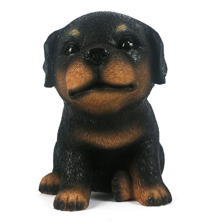 Mini Rottweiler Size