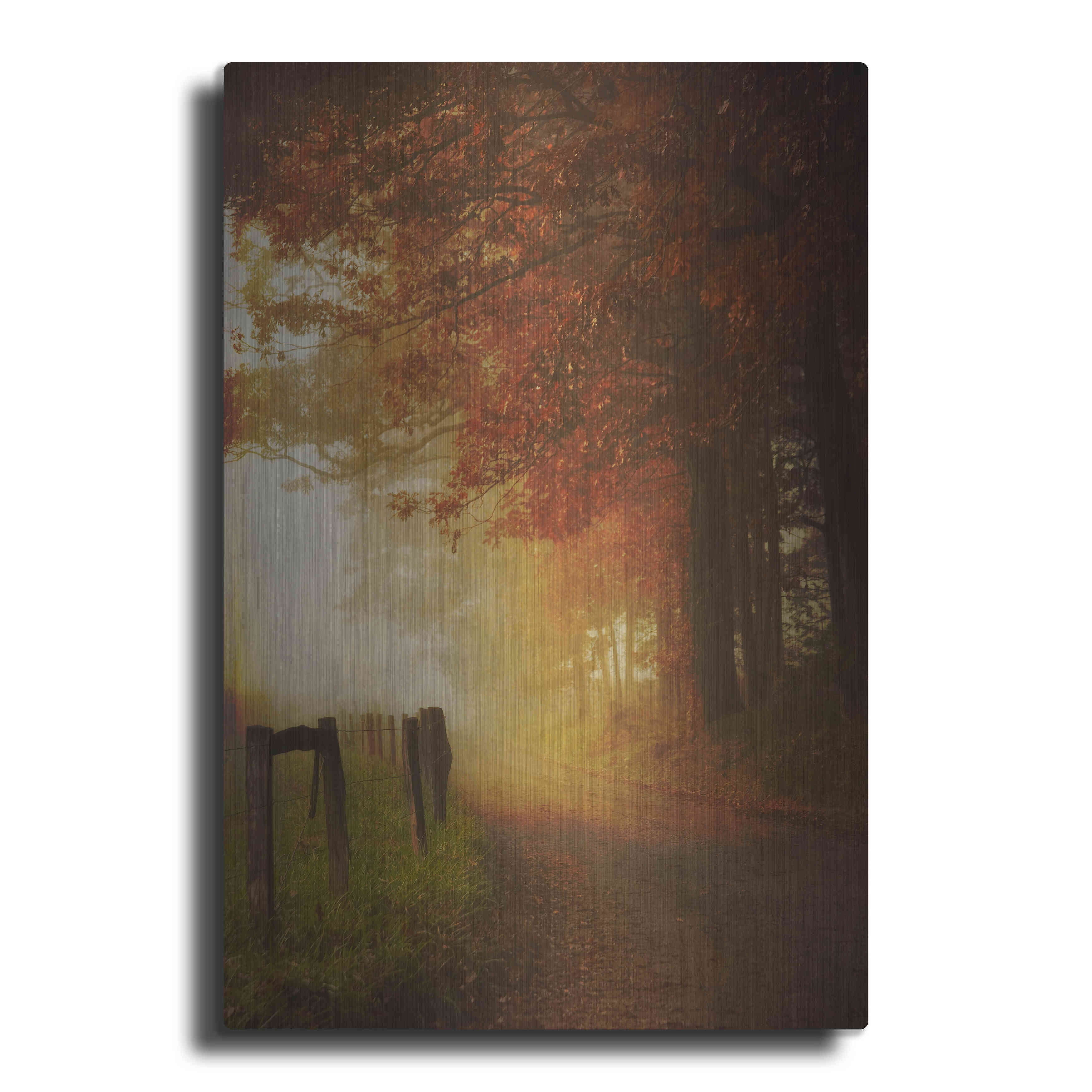 Luxe Metal Art 'Come to the Light' by Daniel Burt Metal Wall Art, 24 ...