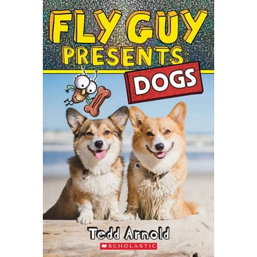 Fly Guy Presents: Dinosaurs (Paperback) - Walmart.com