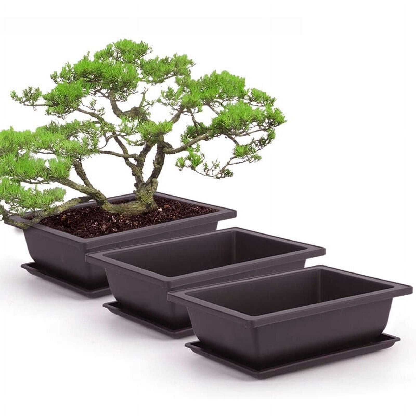 Click here for Dutchman Rectangle Bonsai Pots  Durable Shatter Pr... prices