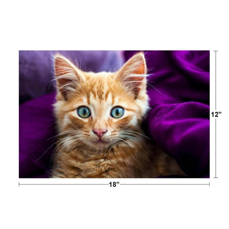 Inspirational Kitten