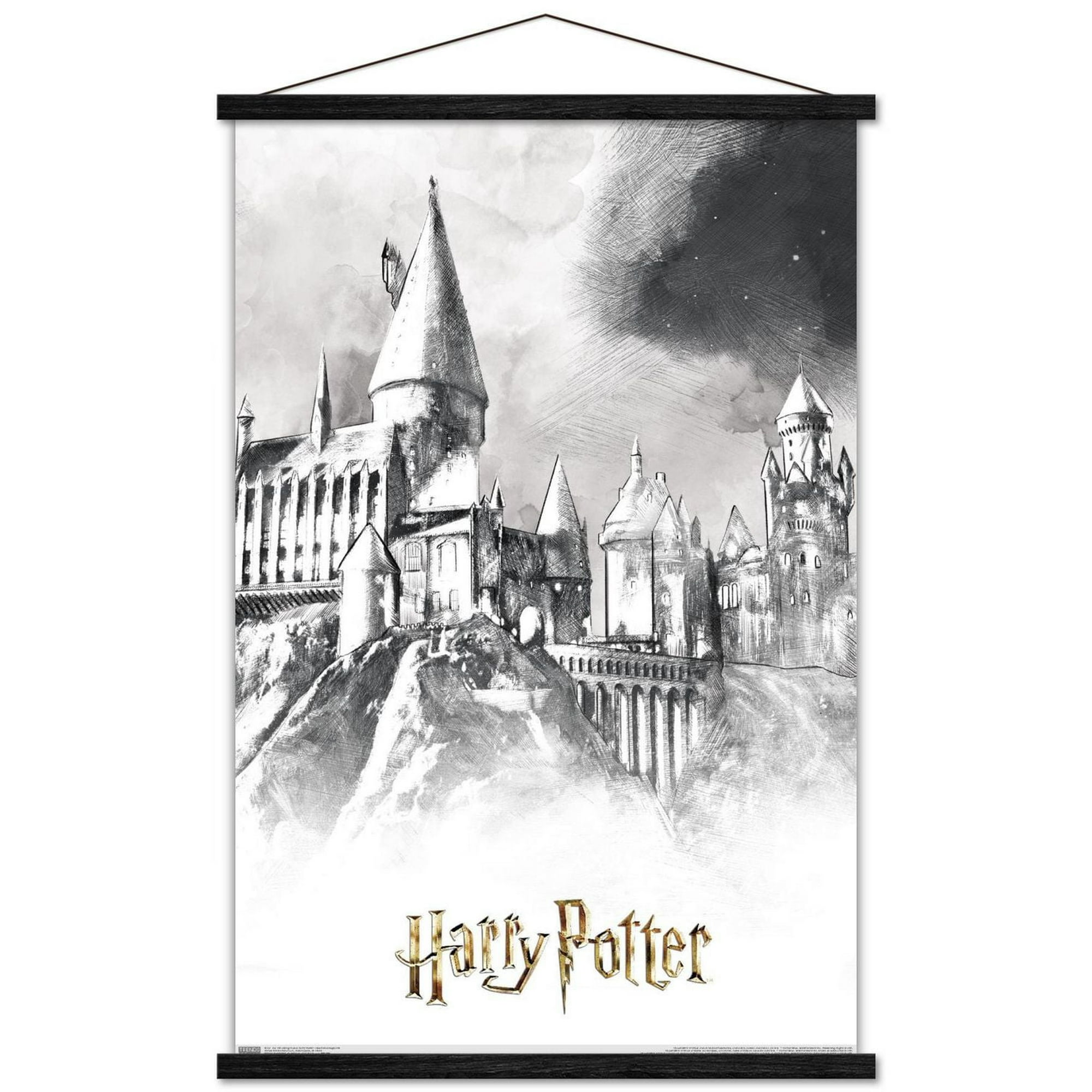 Click here for Trends International The Wizarding World: Harry Po... prices