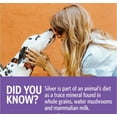 Sovereign Silver Bio-Active Silver Hydrosol Immune Pets Dropper - 4 fl ...