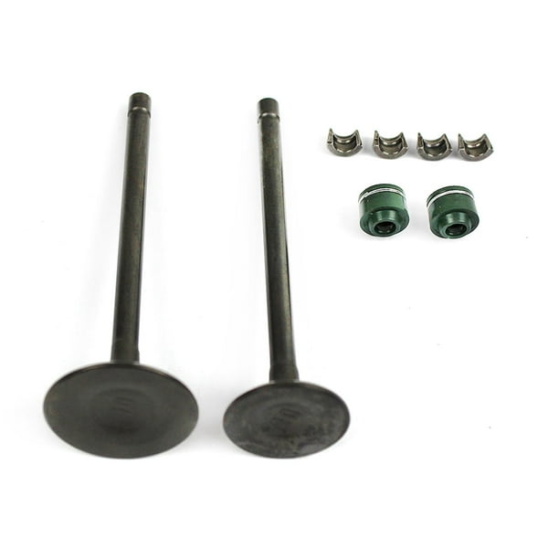 Valvula Admision/Escape Set Italika Ft 180 Led (13-18) Roda VALVULA ...