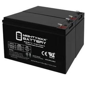 Viper by Mighty Max Battery VP-2400 - 12V 110Ah 2400 Watt AGM Car Audio ...