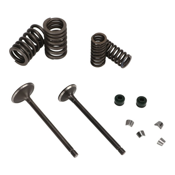 Cylinder Head Valve Spring Rebuild Kit,Cylinder Head Intake Exhaust ...