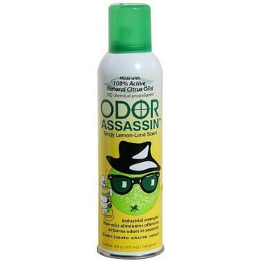 Odor Assassin Convenient Sprays Orange Scent Odor Control Spray 6 oz ...