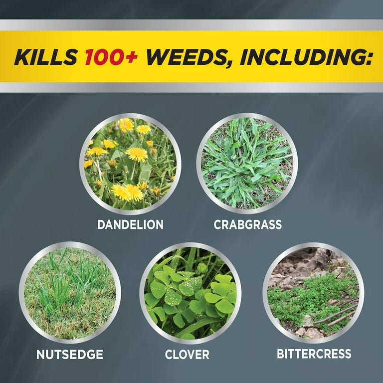Image All in One Lawn Weed Killer Herbicide 24 oz. Concentrate