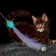 KONG® Teaser Glow Firefly Long Wand Cat Toy - Walmart.com