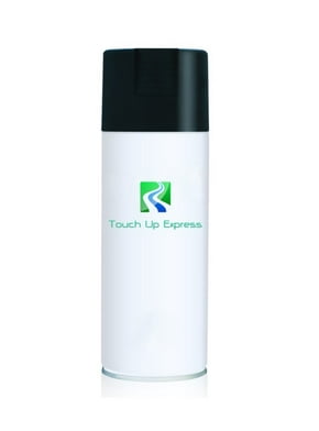 Spray Paint in Paint - Walmart.com