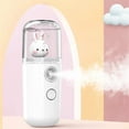 Easy Care Sunshine 15s Heated Mini Travel Steamer Cordless Easy Care ...