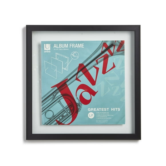 Vinyl Record Display Frame