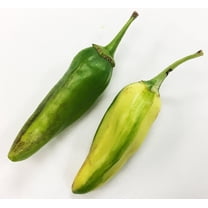 Pink Tiger BBG7 Bubblegum Pepper Premium Seeds Packet - Walmart.com