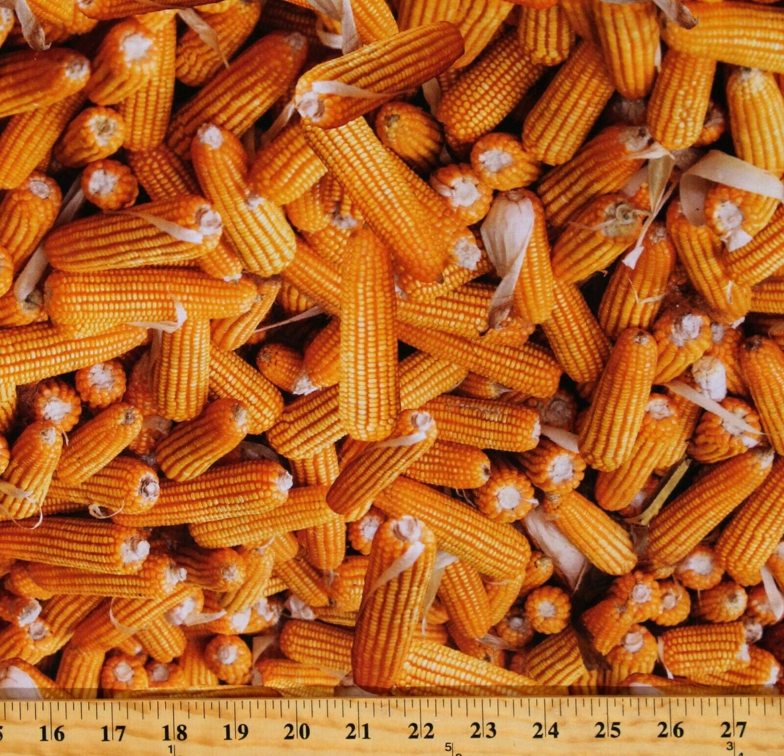 Cotton Food Corn On The Cob Vegetables Fruits Yellow Cotton Fabric ...