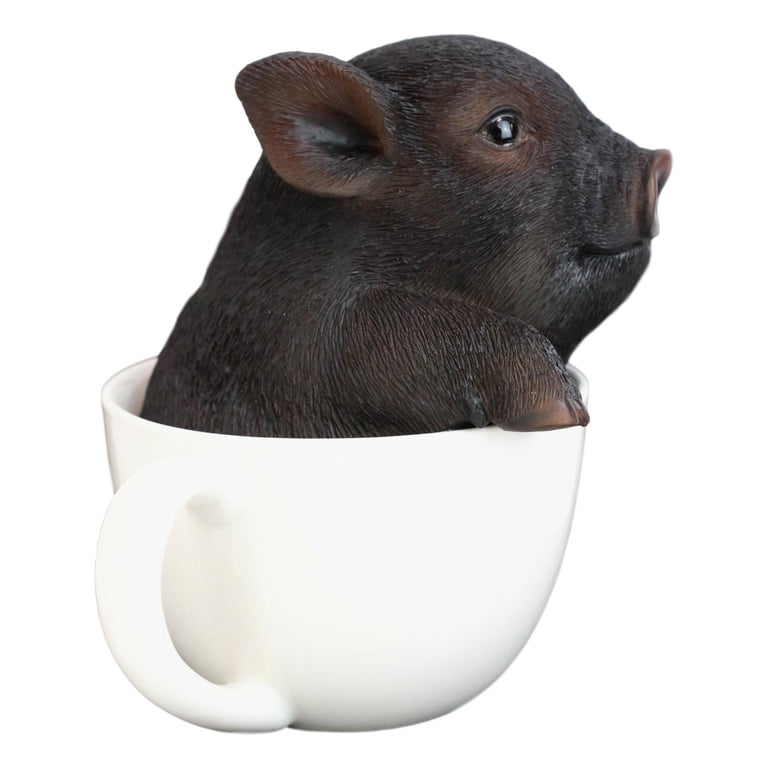 Black Teacup Pigs Full Grown