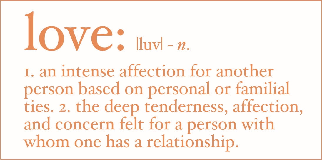 Love Definition Vinyl Decal - Large - Persimmon - Walmart.com