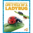 Pre-Owned Life Cycle of a Ladybug (Library Binding) 162496818X ...