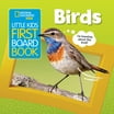 Baby's First Book of Birds & Colors (Board Book) - Walmart.com