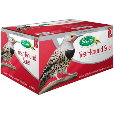 Year Round Suet Cakes Bird Food - 300 g, 10 Pack - Walmart.ca