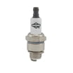 Briggs & Stratton 796112 Spark Plugs, 2-Pack, Replaces J19LM, RJ19LM ...