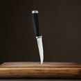 Hampton Forge™ Epicure Stainless Steel Steak Knife Set (4-Piece ...