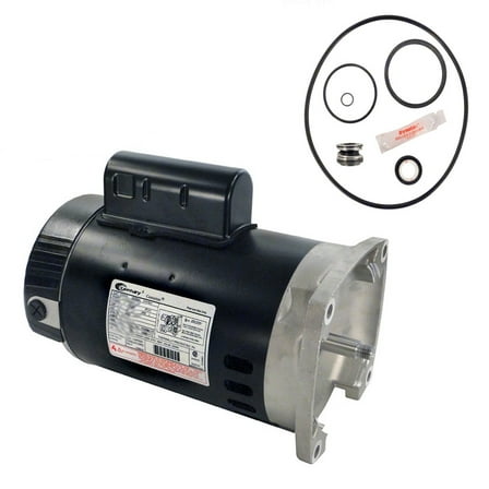 Puri Tech Replacement Motor Kit for Pentair Challenger 1HP CFII-NI-1F ...