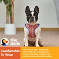 The Dodo Step-in Style Pet Harness for Dogs, Striped, Small - Walmart.com