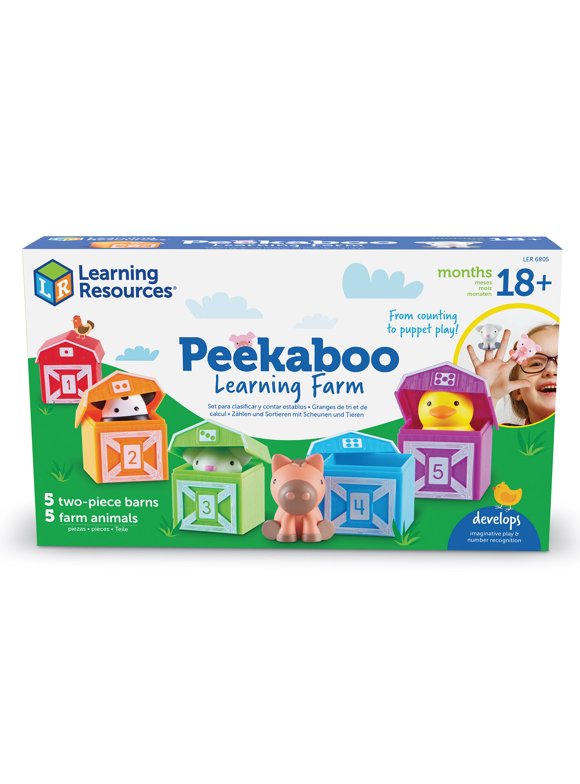 Learning Toys in Toys - Walmart.com