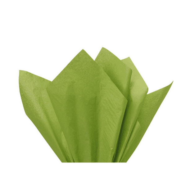 Bright Lime Tissue Paper Squares, Bulk 24 Sheets, Presents by Feronia ...