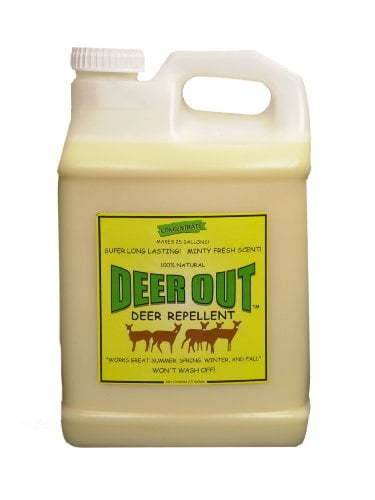 Deer Repellent: Deer Out deer repellent 2 1/2 gallon concentrate ...