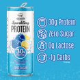 Genius Gourmet Sparkling 30g Protein, Blue Raspberry Lemonade, 12 Fl Oz ...
