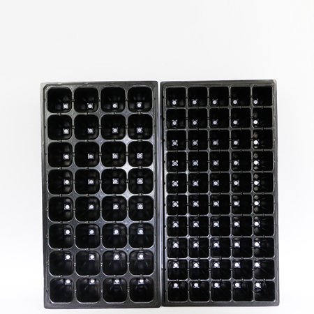 Seedling Vegetable Succulent Sprouts Flat Plate Non-porous Forest ...