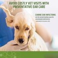 Dog Ear Cleaner Wipes - Otic Cleanser for Dogs to Stop Ear Itching, and ...