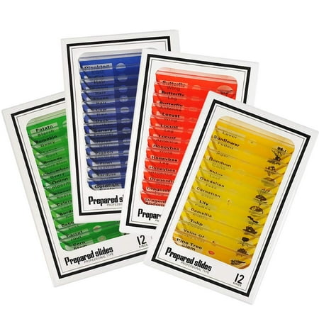 48 Pieces Prepared Microscope Slides Specimen Animals Insects Plants ...
