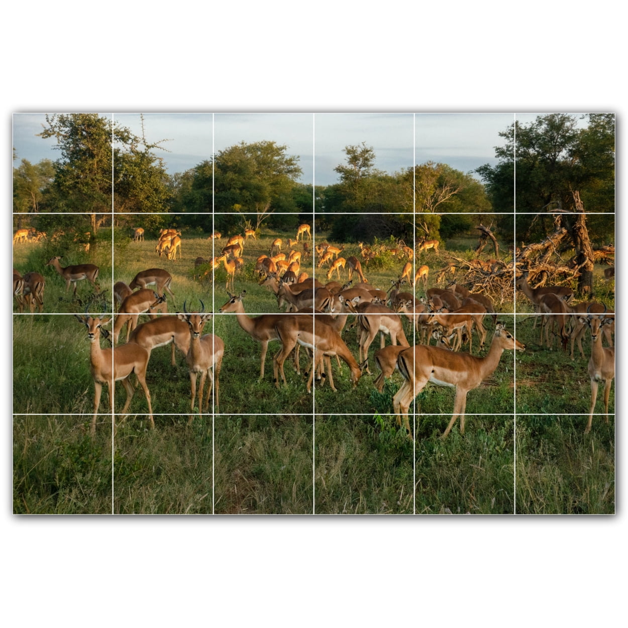 Picture-Tiles.com: Deer Ceramic Tile Wall Mural WAL500453-64L. 48"W x ...