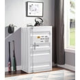 Acme Cargo Container Style Metal Chest with 1 Door, Multiple Colors ...