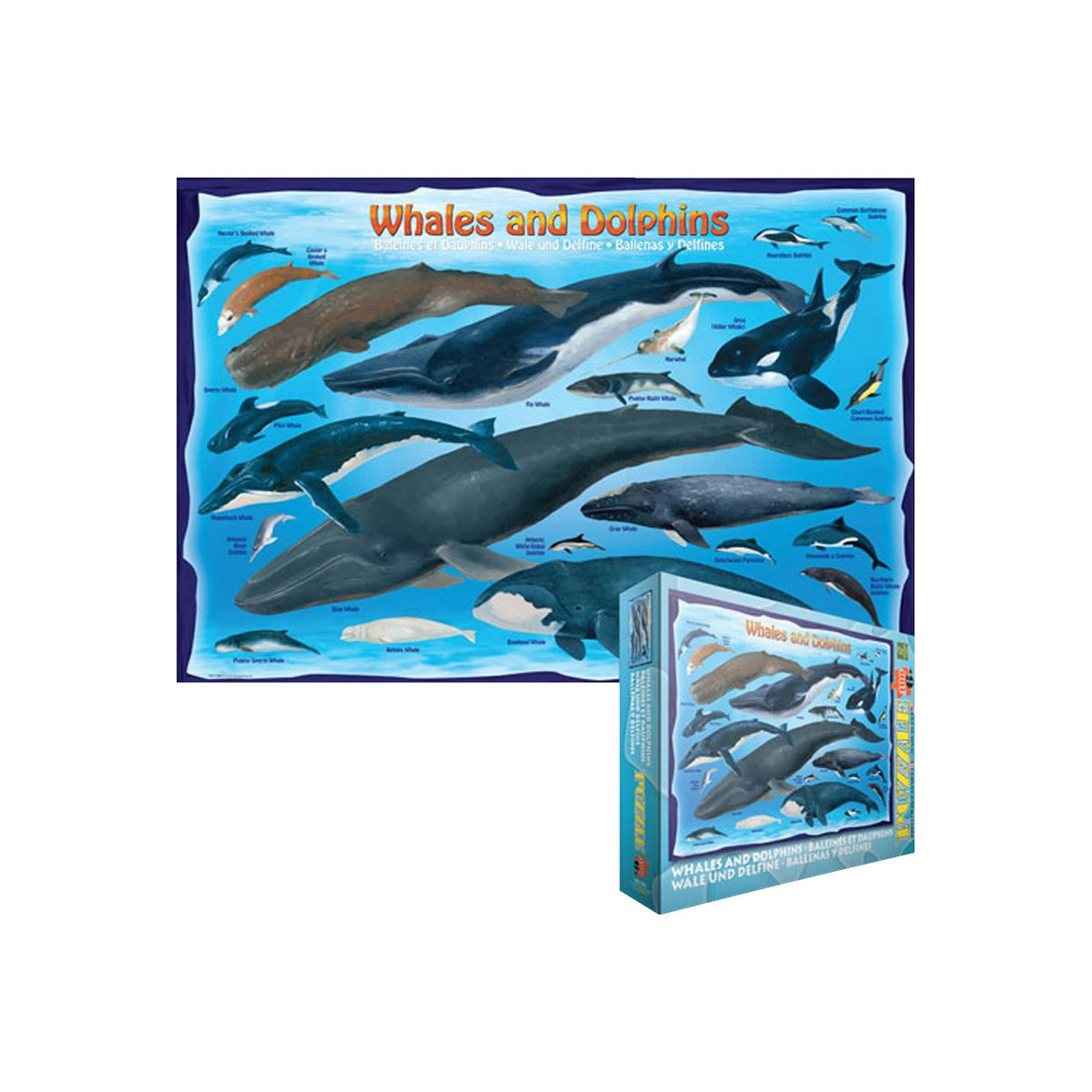 Click here for Eurographics Whales & Dolphins 100 Piece Jigsaw Pu... prices