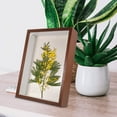 BESTYASH Sturdy Acrylic Display Frame for Pressed Flowers and Photo ...