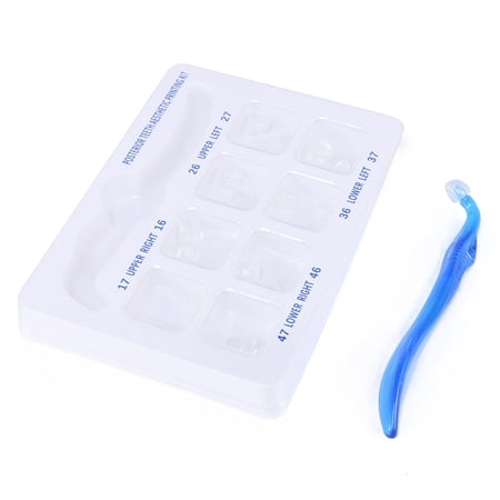 Mymisisa Posterior Teeth Aesthetic Filling Tools Dental Posterior Teeth ...